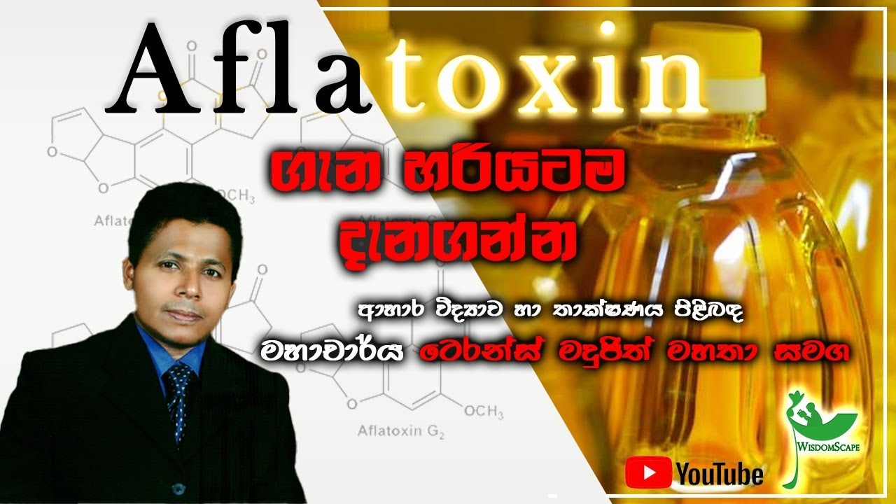 පිළිකාකාරක Aflatoxin ගැන හරියටම දැනගන්න | food scientists view on ...