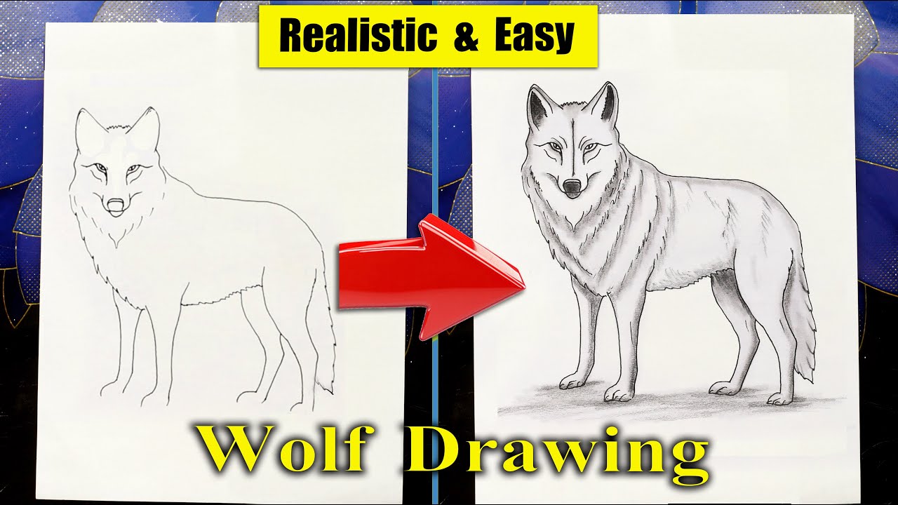 How to Draw a Wolf Easily | Step by Step Pencil Sketch Tutorial for ...