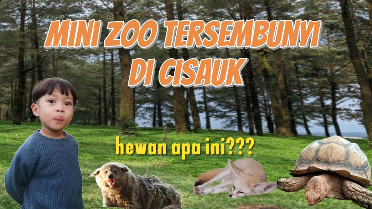 Ada mini zoo tersembunyi di tangerang | ada cafe nya juga | mini zoo ...