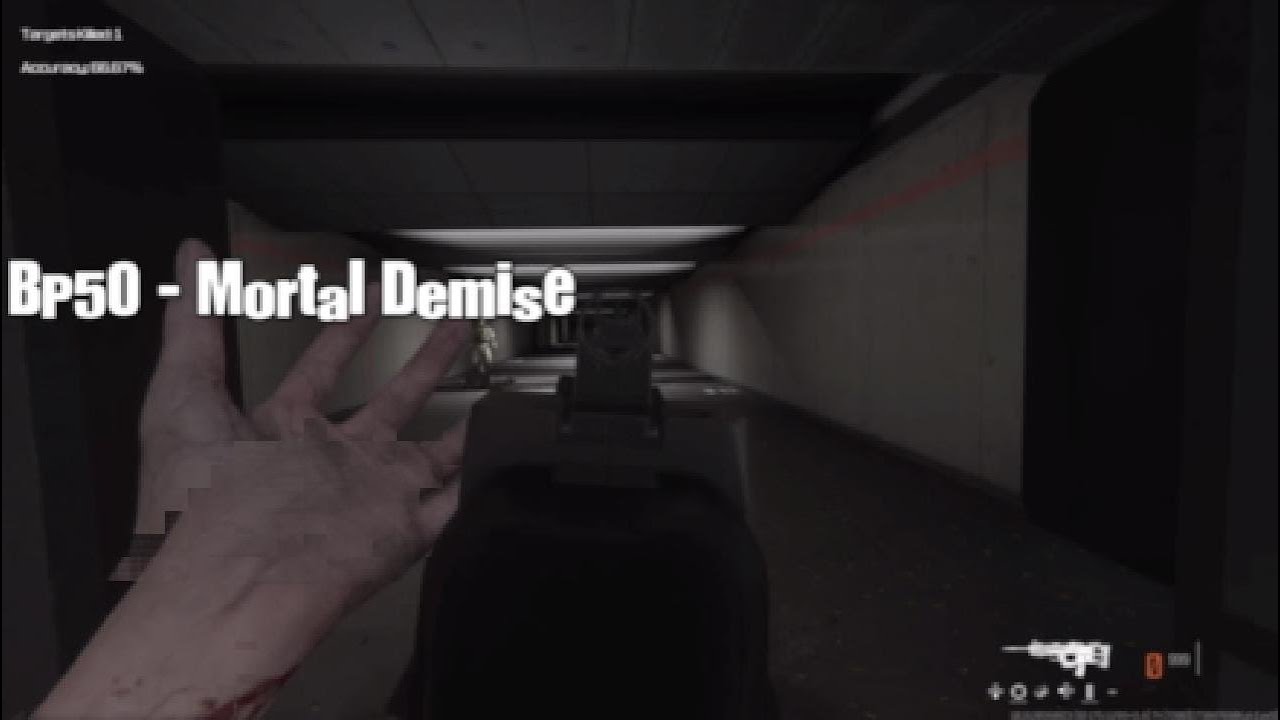 Sum CoD guns i use lol - YouTube