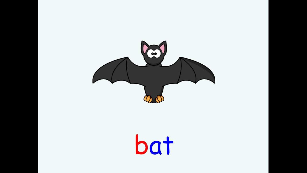 Phonics /b/ - Sound, Vocabulary and Blending - YouTube