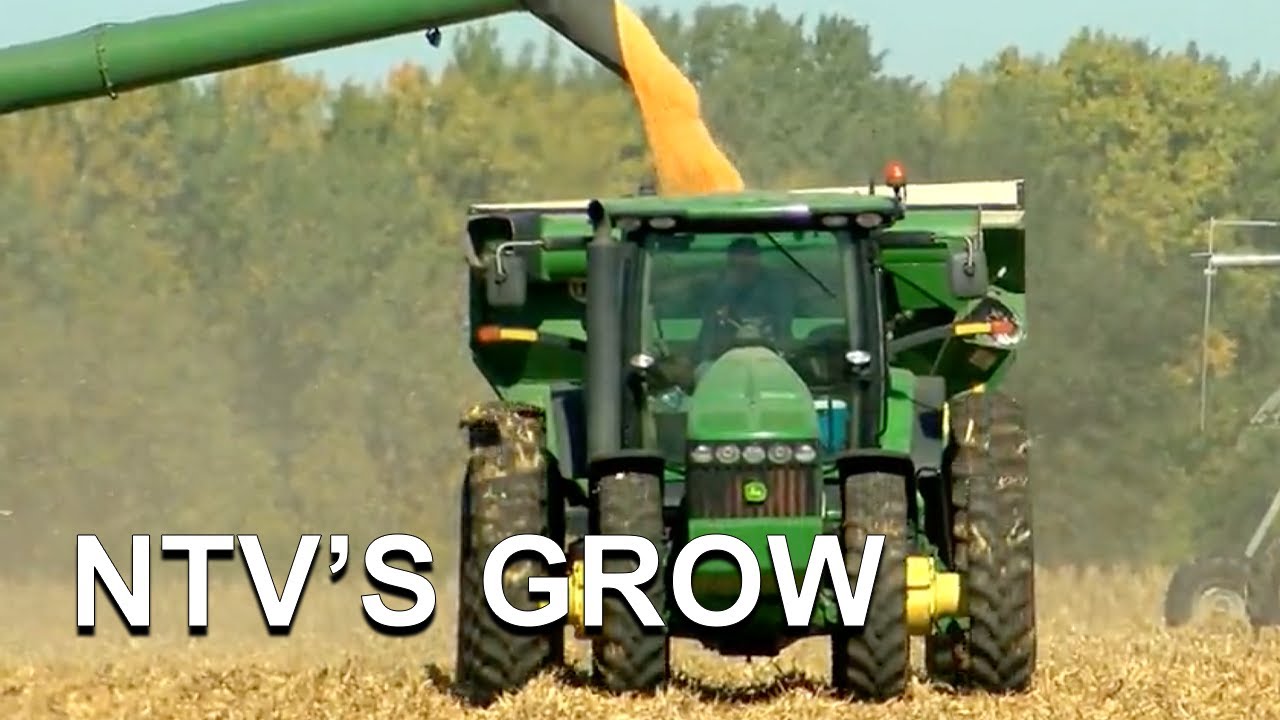 NTV's Grow - Harvest in full swing, rural medical care, animal lab ...