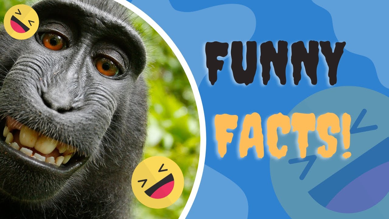 Funny Facts !! #facts #funny #funnyvideo #smile #trending - YouTube