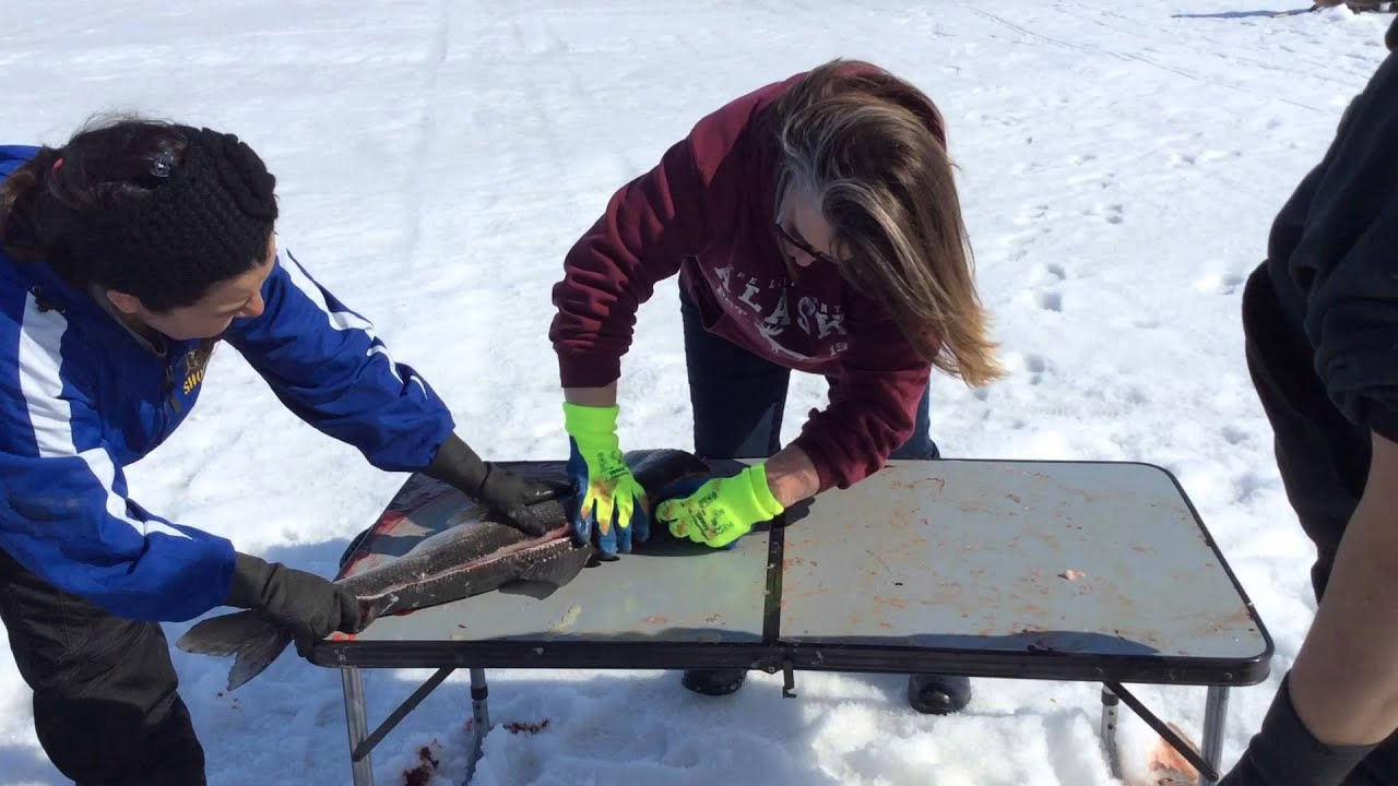 Ice Fishing in Kotzebue Alaska! Shee Fish. - YouTube