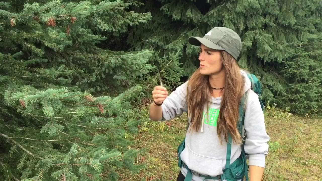 Final Challenge: "Neature Walk" - YouTube