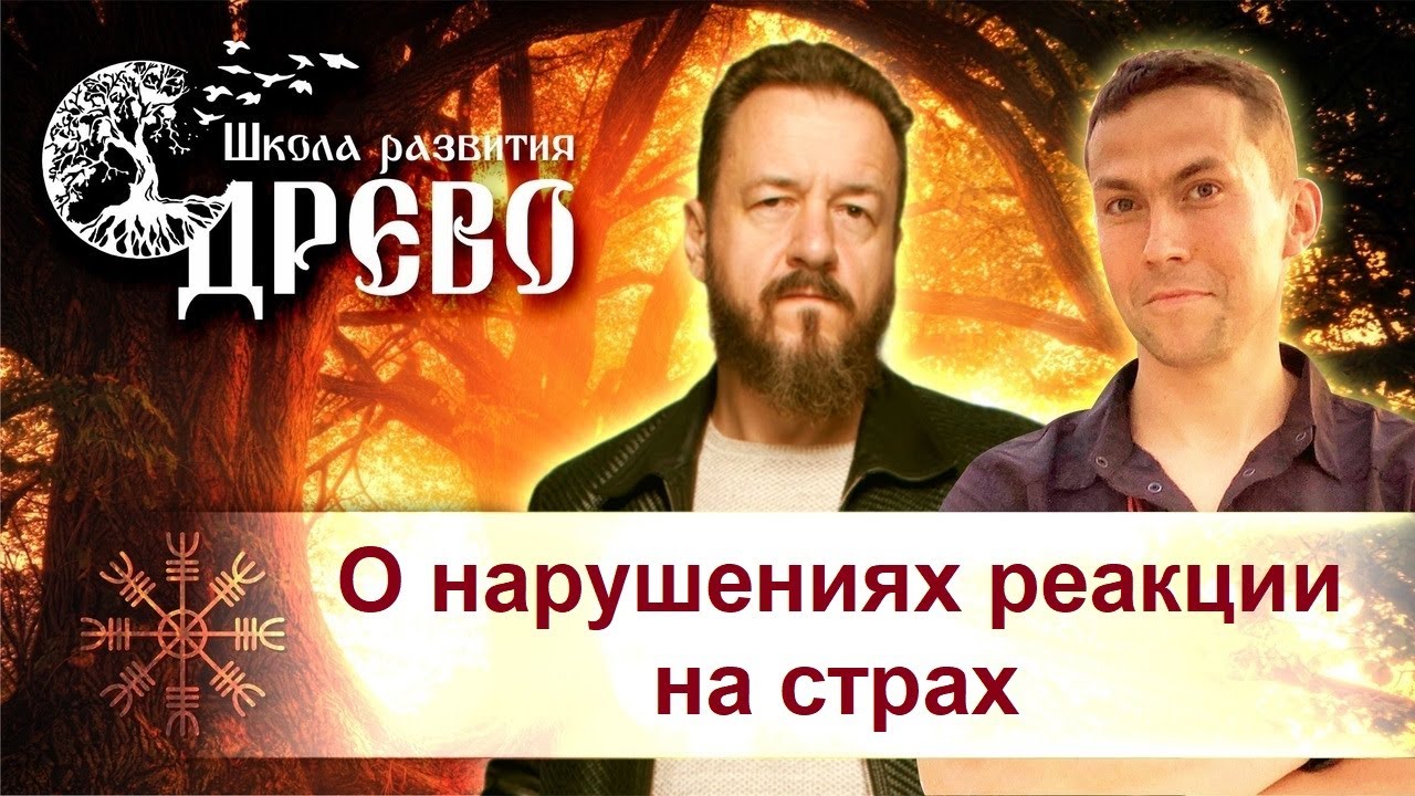 О нарушениях реакции на страх Youtube