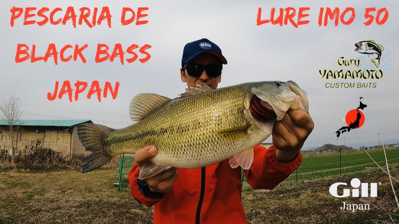 PESCARIA DE BLACK BASS ( ACHIGÃ ) - LAKE BIWA - JAPAN - LURE IMO 50 ...
