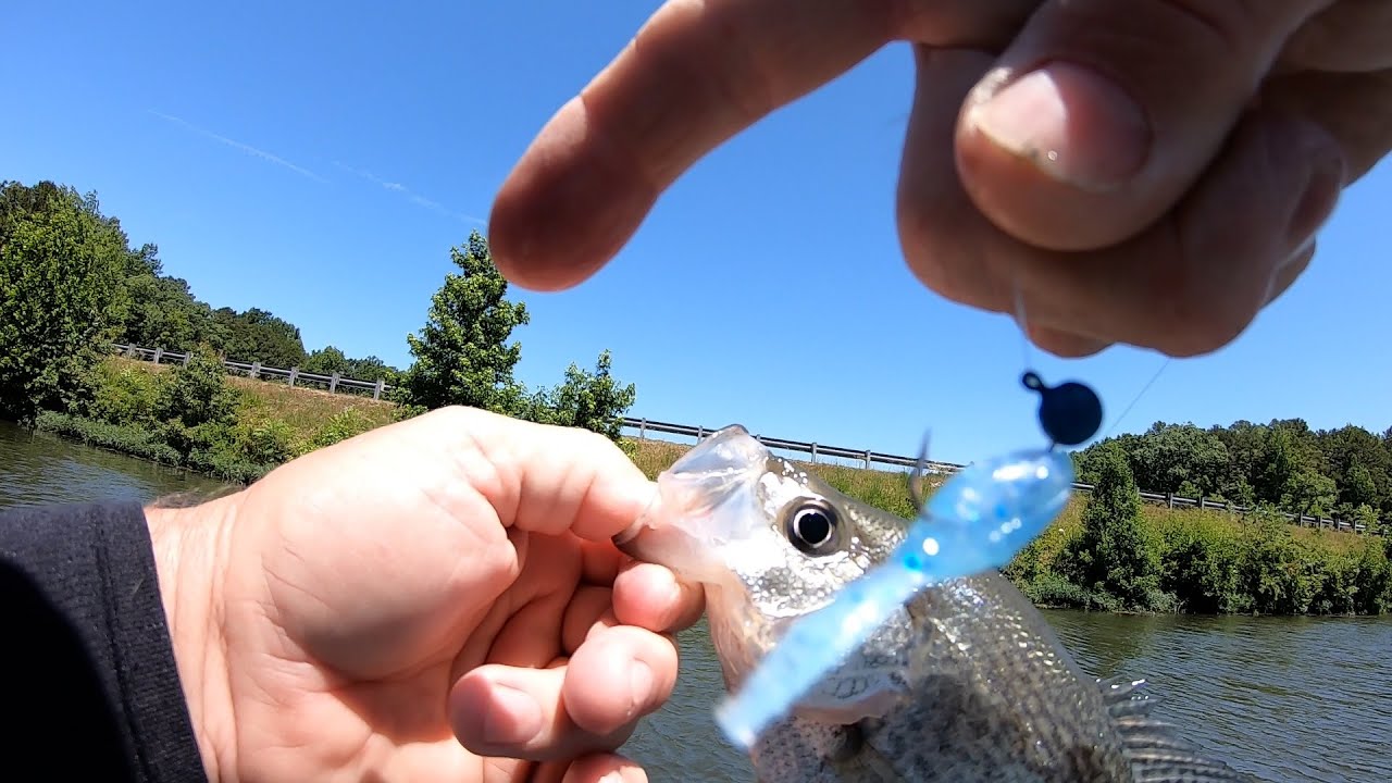 Best 1 1/2''' Tadpole Bait/Down size Crappie Bait - YouTube