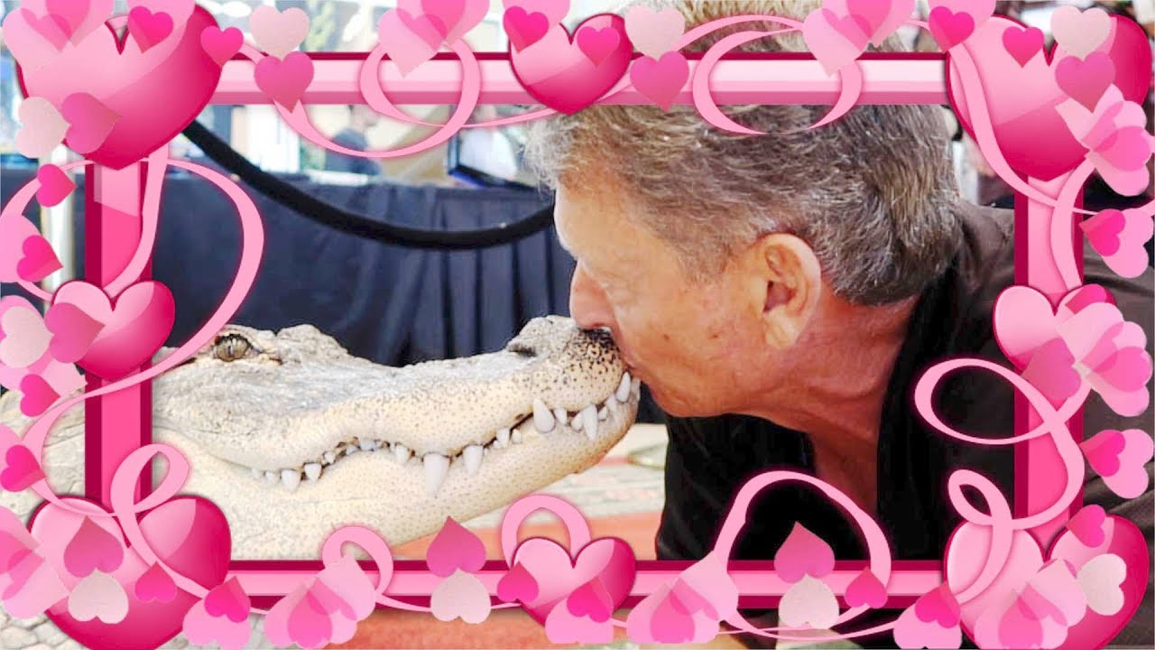 MAN MARRIES ALLIGATOR! 🐊 - YouTube