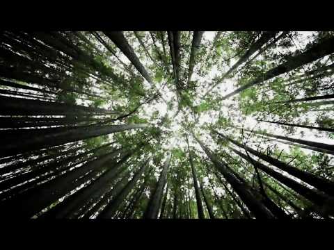 soz  40 bolum  fragman 2