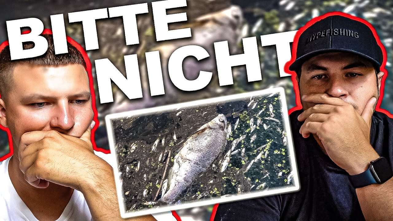 HORROR! Reaktion auf OderSpreeAngler - YouTube