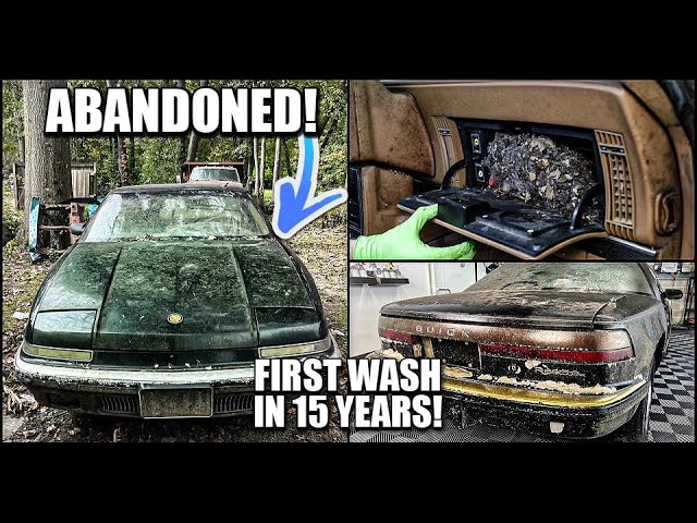 Car Cleaning Memes 🚗💦 Get Ready For Some Serious Car Cleaning