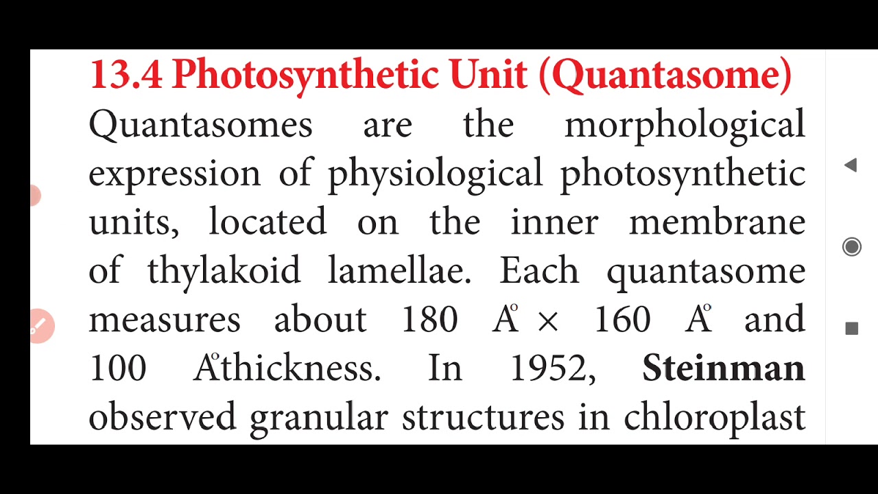 11th std Bio-Botany Chapter- 13 Photosynthesis (Photosynthesis Unit ...