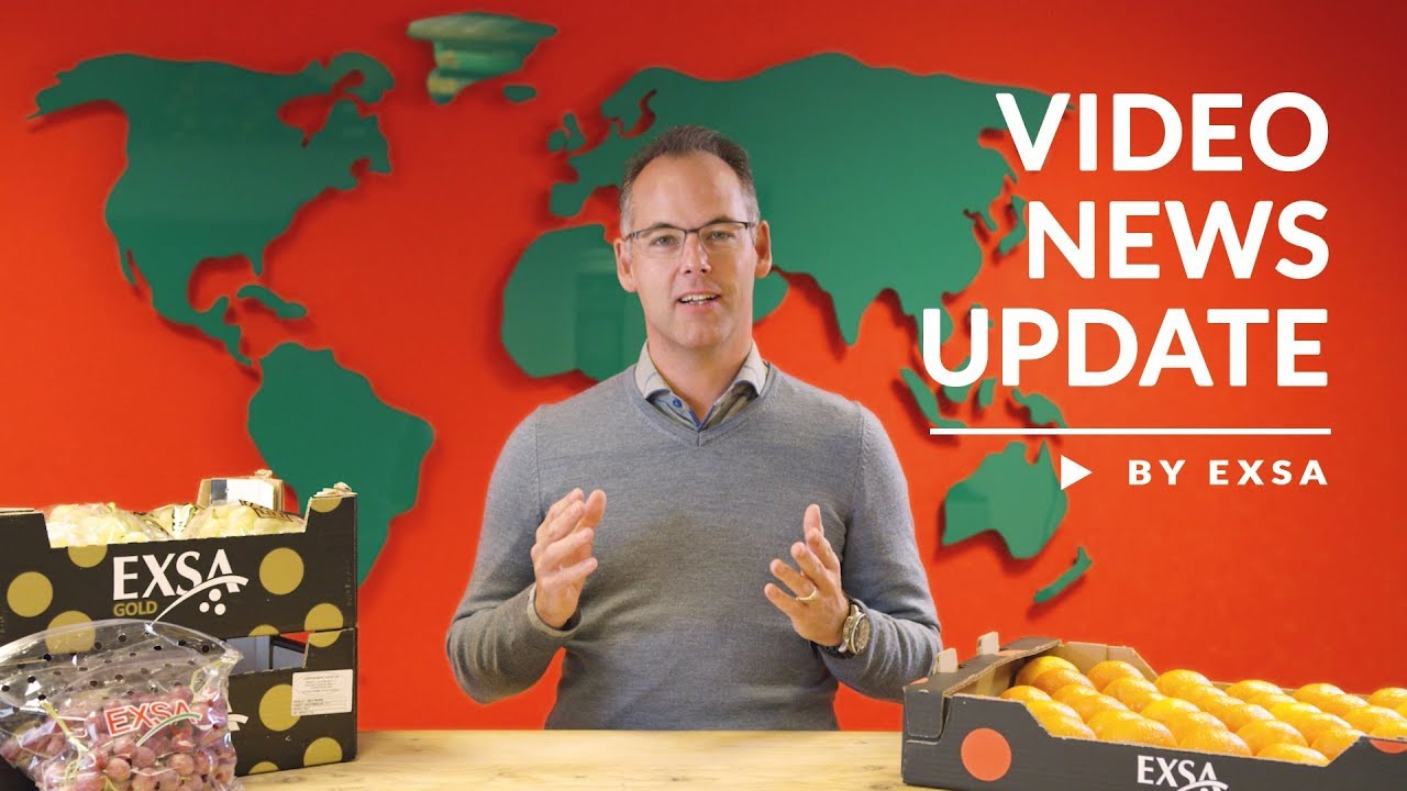 Late Summer Update! News about EXSA Europe #02 - YouTube