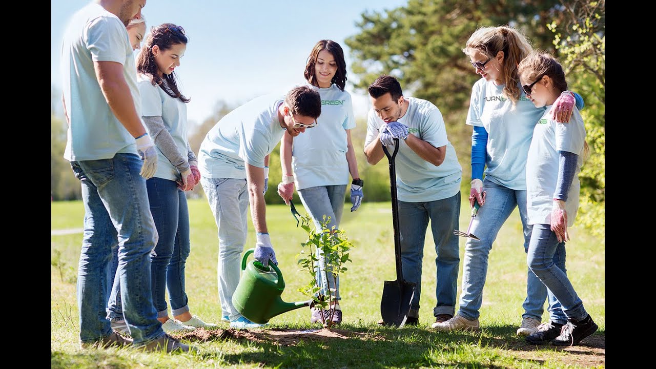 🌱⚡ Plant a Tree with Every TurnOnGreen EV Charger Purchase! | Drive ...
