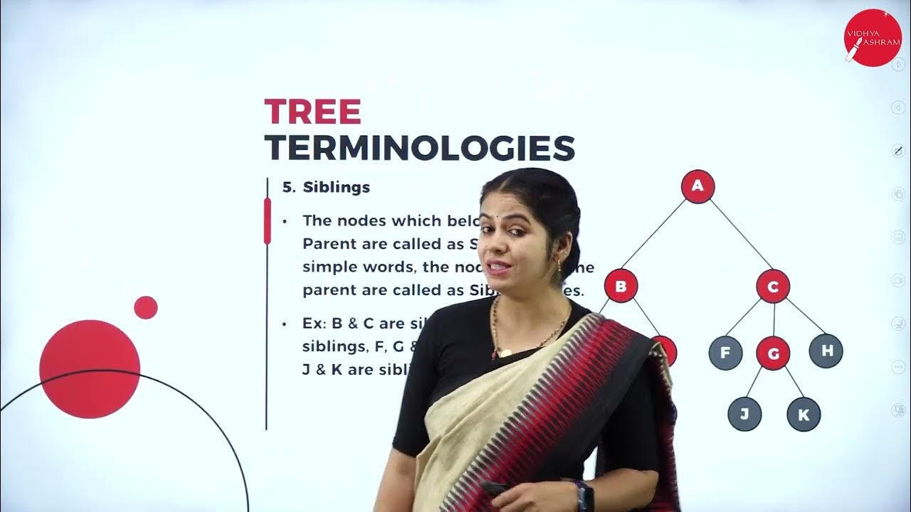 DAY 15 | DATA STRUCTURES USING - C | II SEM | B.CA | NEP | TREES IN DATA STRUCTURE | L3 - YouTube
