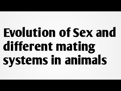Evolution of Sex and different mating systems in animals notes - YouTube