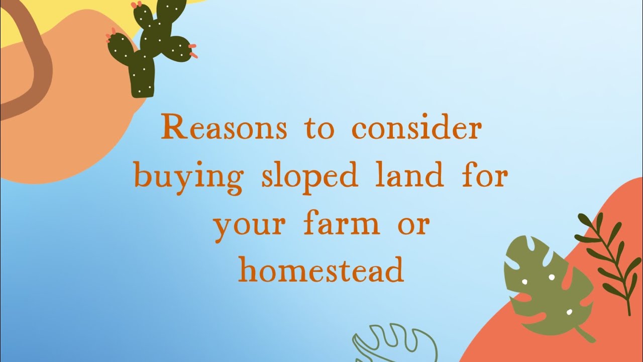 Reasons to consider buying sloped land for your farm or homestead- Tips ...