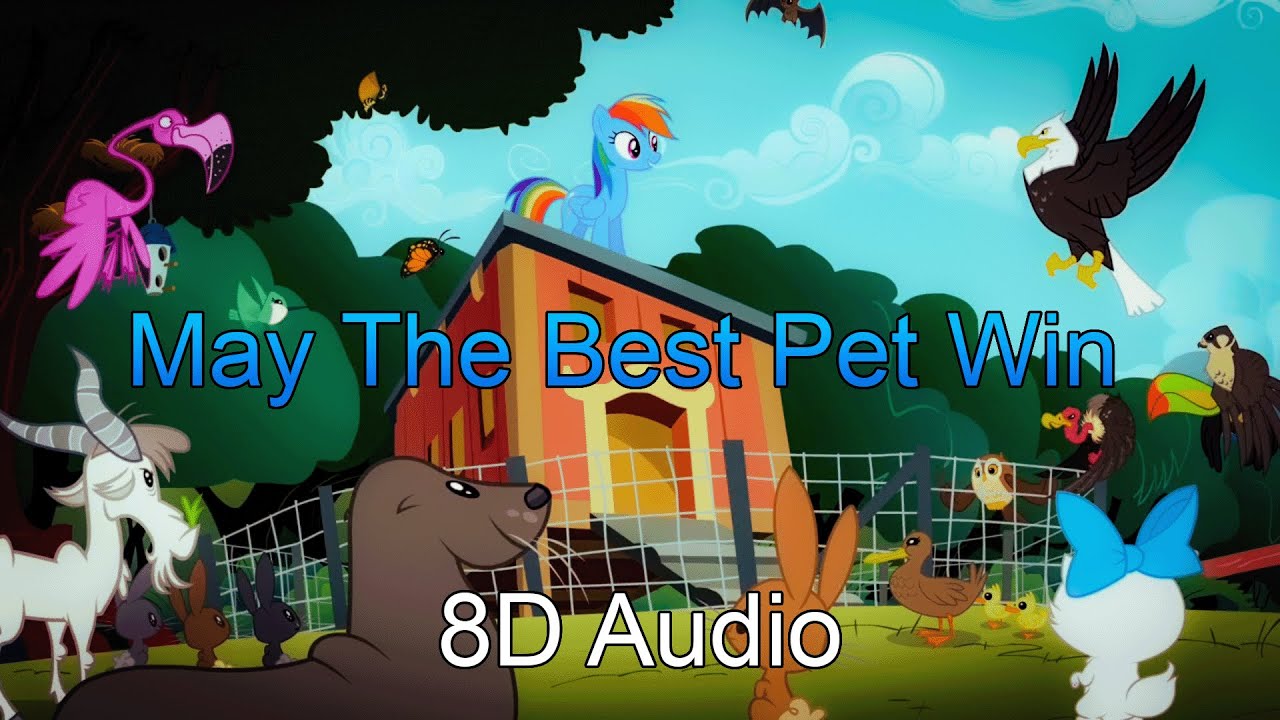 8D Audio | May The Best Pet Win - YouTube