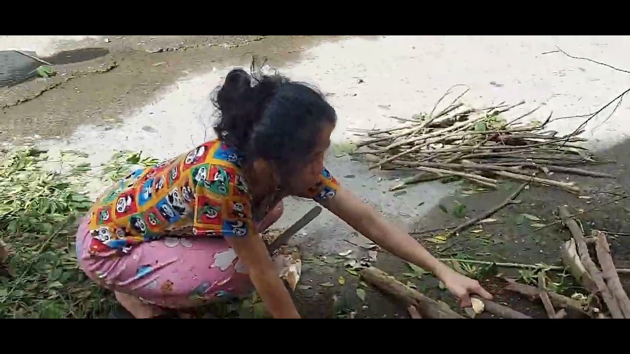 Urban loggers do illegal logging😅 - YouTube