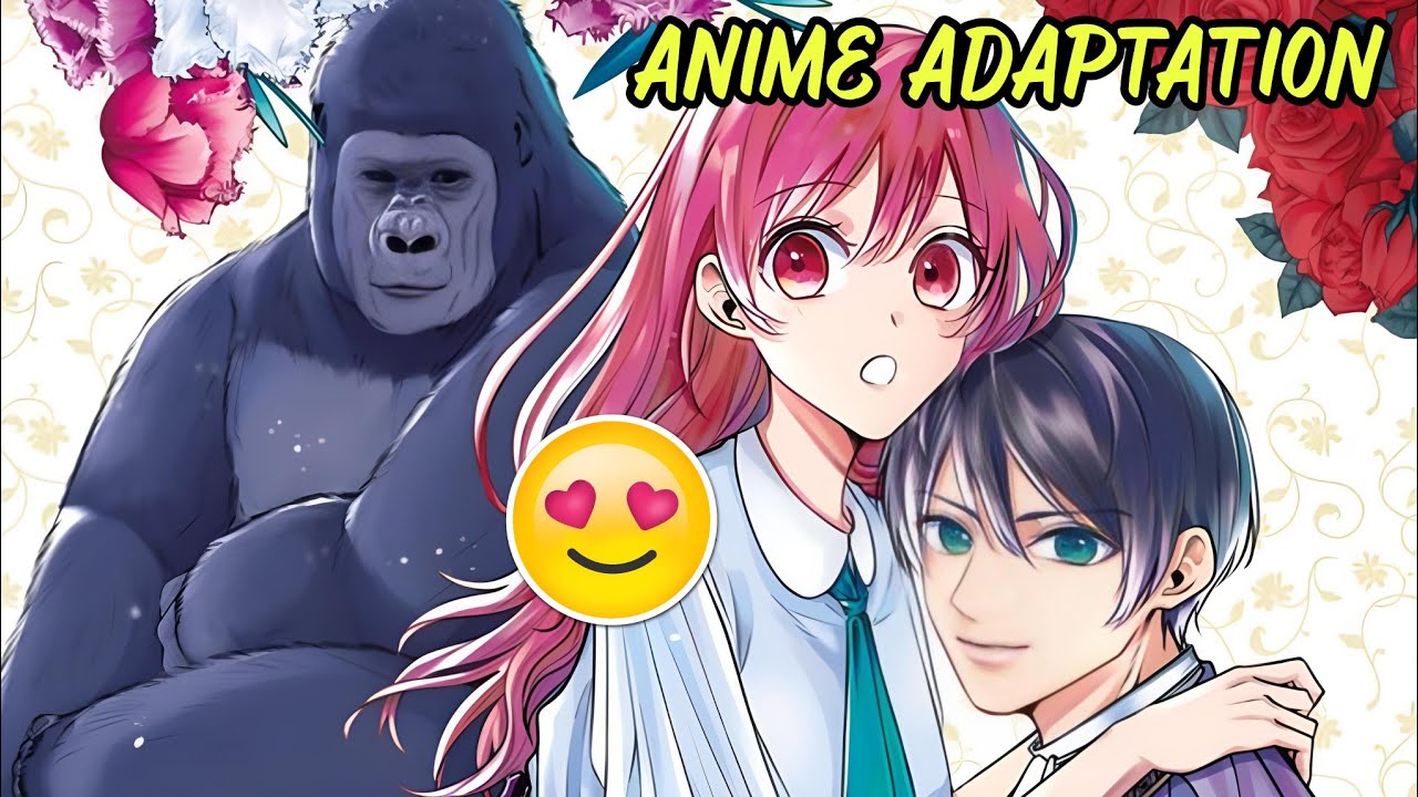 Gorilla no Kami Celebrates World Gorilla Day With TV Anime Announcement ...