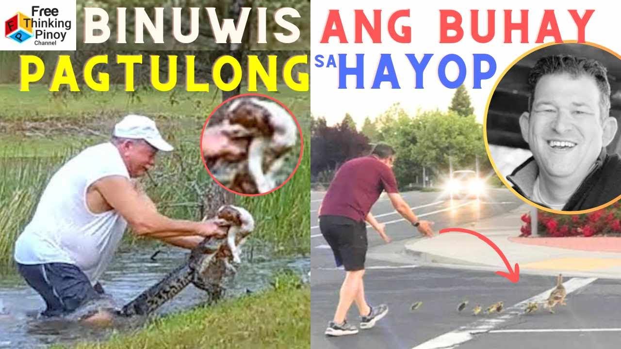 Mga HAYOP na HUMINGI ng TULONG sa TAO | Animals asking Help from Humans ...