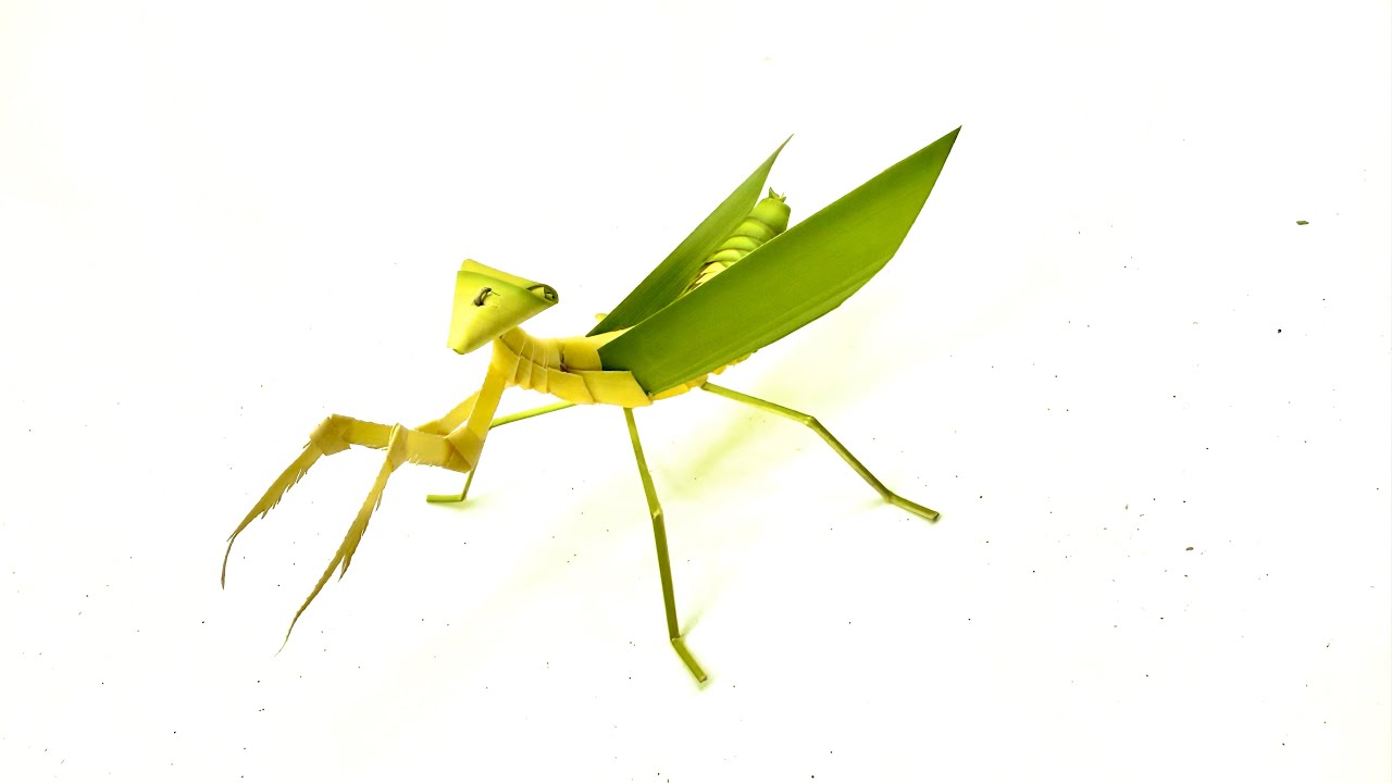 Try It Now! Easily Fold a Palm Leaf Mantis in Just 5 Minutes - YouTube