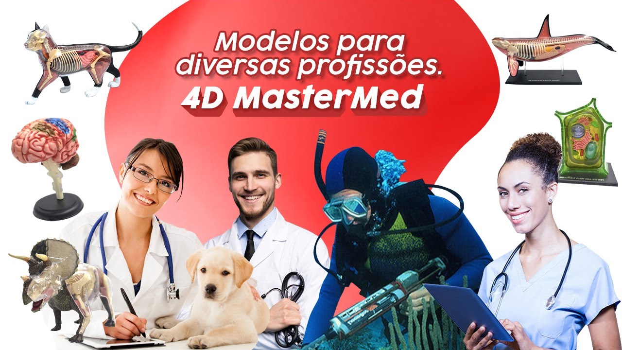 (4D MasterMed) Modelos para Diversas Profissões. - YouTube