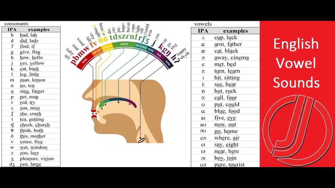 Easiest Way To Understand The 20 Vowel Sounds In English Quickly Learn 