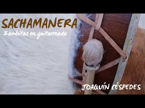 Zambitas para enamorar - JOAQUIN CÉSPEDES - YouTube