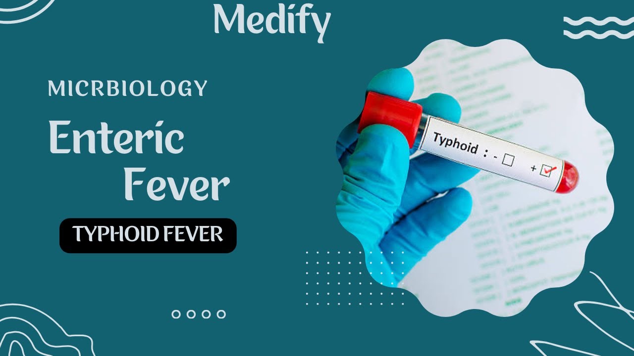 ENTERIC FEVER|THYPHOID | MICROBIOLOGY | ⁠@MedifyMBBS - YouTube