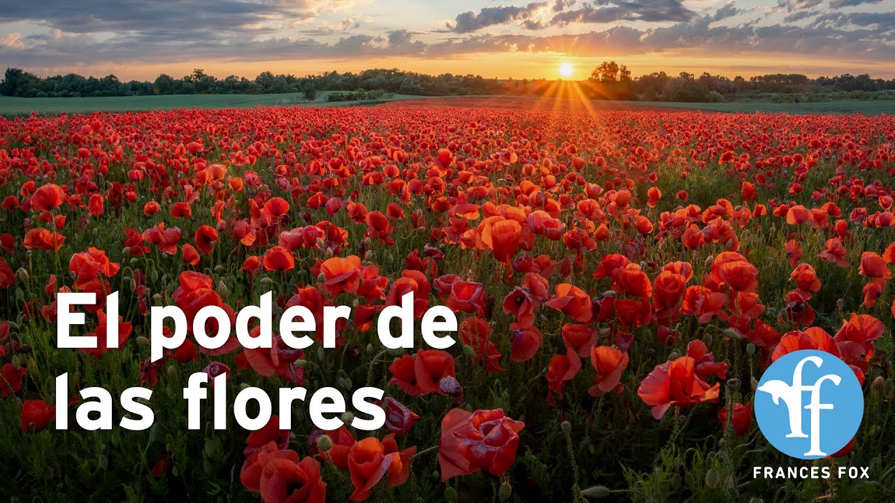 El poder de las flores - YouTube