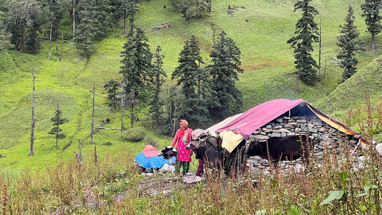 Most peaceful and relaxing Mountain Village Life in the Rainy Days ...