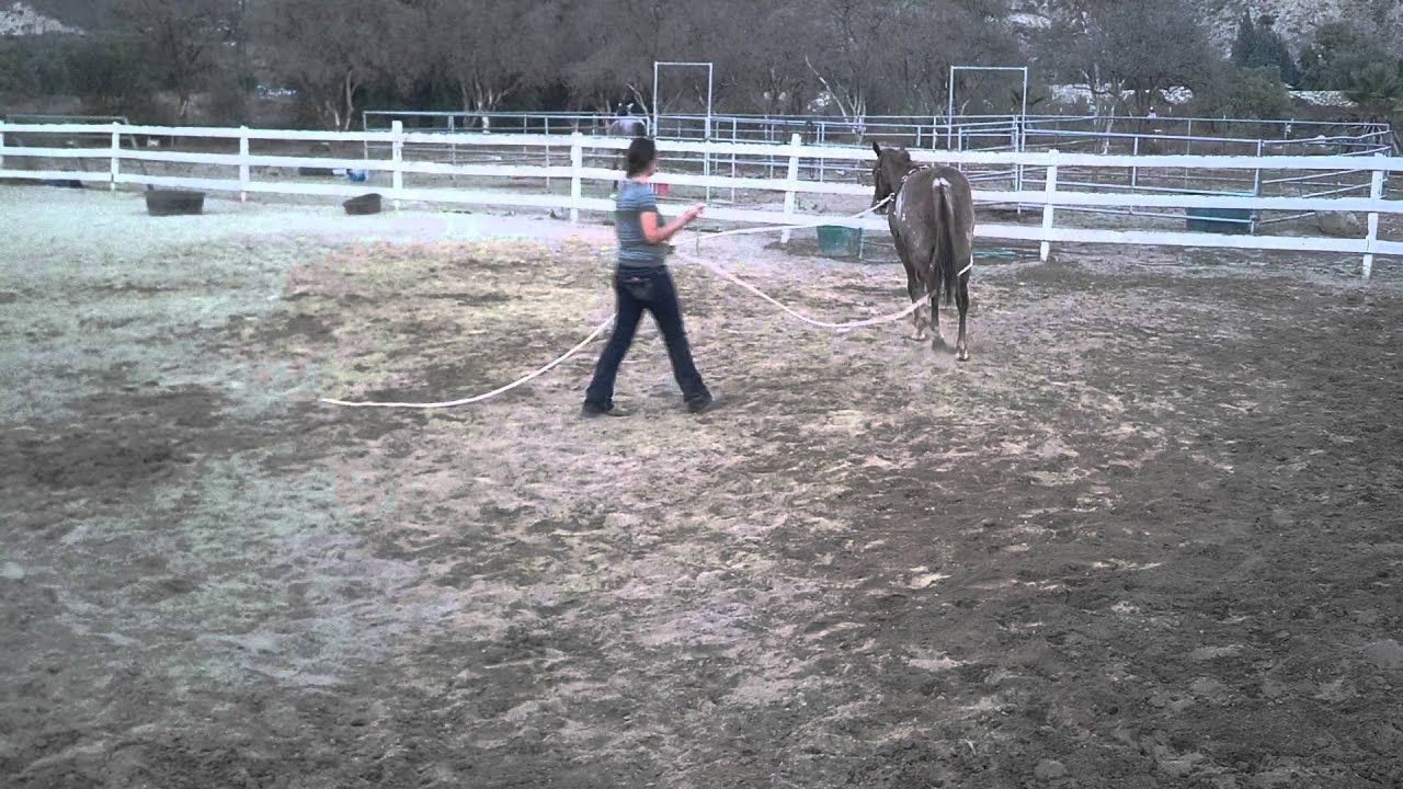 First time ground driving, part 2 - YouTube