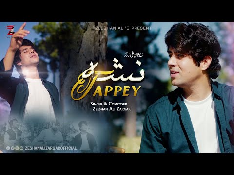 Cha Nasha Sham Cha Nasha She | Pashto Tappay | Zeeshan Ali Zargar | چې نشه شم چې نشه شي Laly pokhto