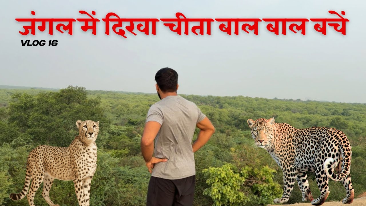 Jangal Mein Dikha Cheetah 🐆 | Baal Baal Bachen 😱 | Real Jungle ...