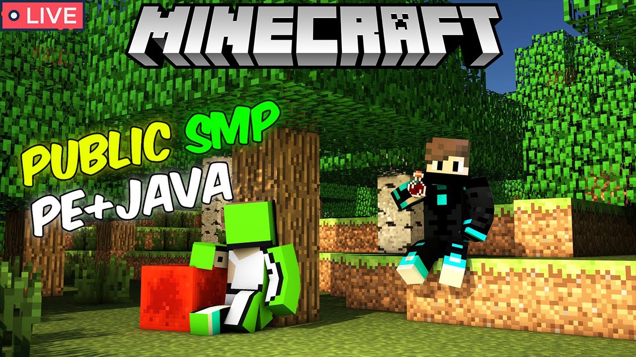 Playing With Viewers In 24/7 Public Smp | MINECRAFT JAVA+PE - YouTube