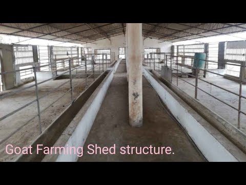 Goat Farming shed structure | Goat Farm shed | Goat shed Management ...