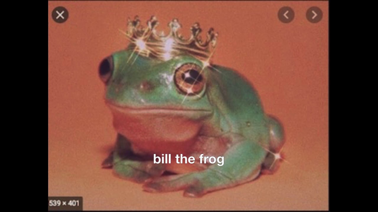 bill the frog - YouTube