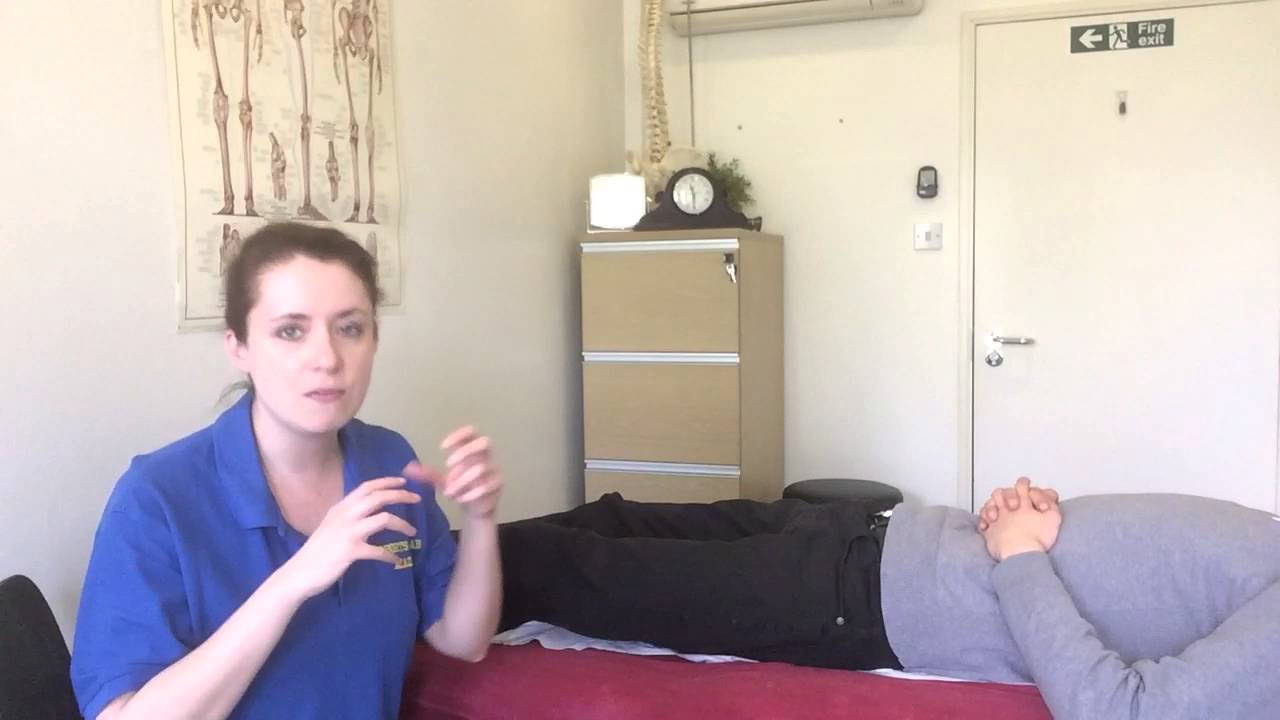 Anatomy Corner video 4 - YouTube