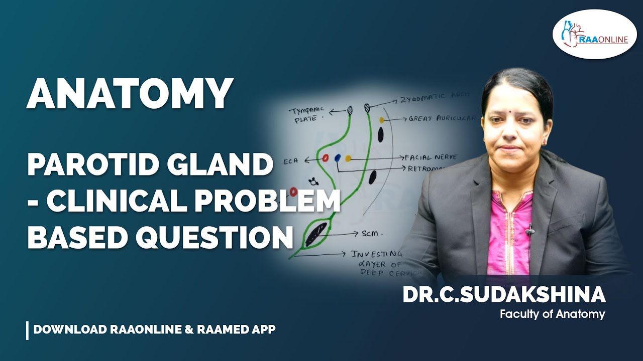 Parotid Gland - clinical problem based question - YouTube
