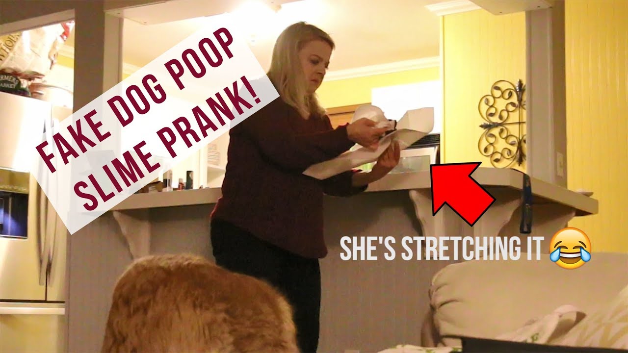 How to Make Slime - Funny Dog Poop Prank - YouTube