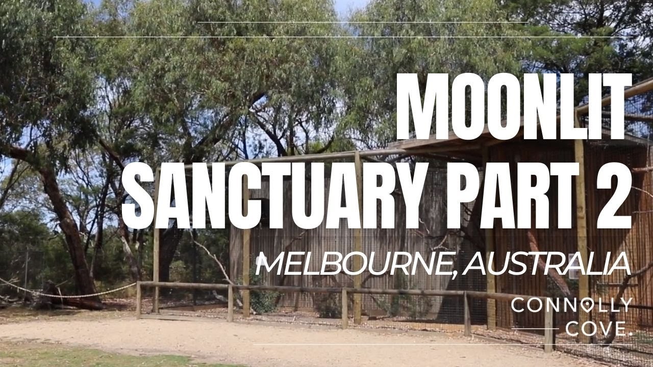 Moonlit Sanctuary Part 2 | Melbourne | Australia | Things To Do In ...