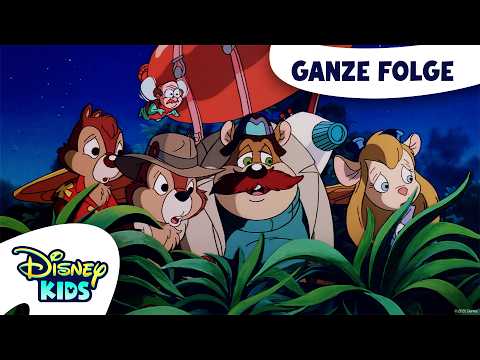 Summis Verwandlung | Chip und Chap: Die Ritter des Rechts S1 E63 | Ganze Folge | @DisneyKidsDE​