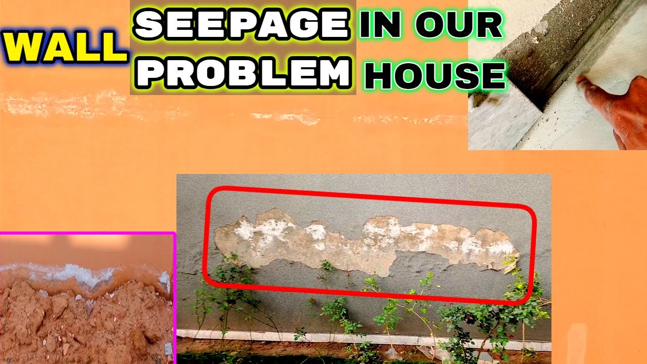 How We Fixed Our Wall Seepage Problem | Wall seepage problem in our ...