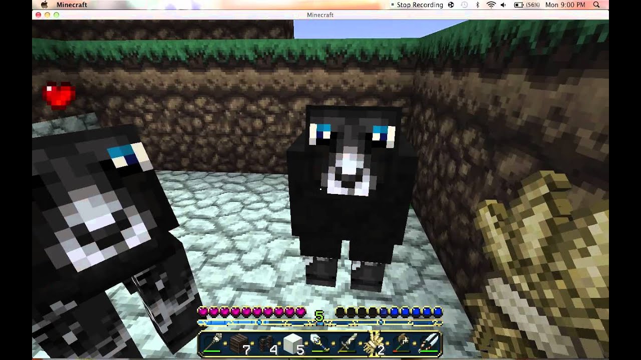 so many animals. episode 6 - YouTube