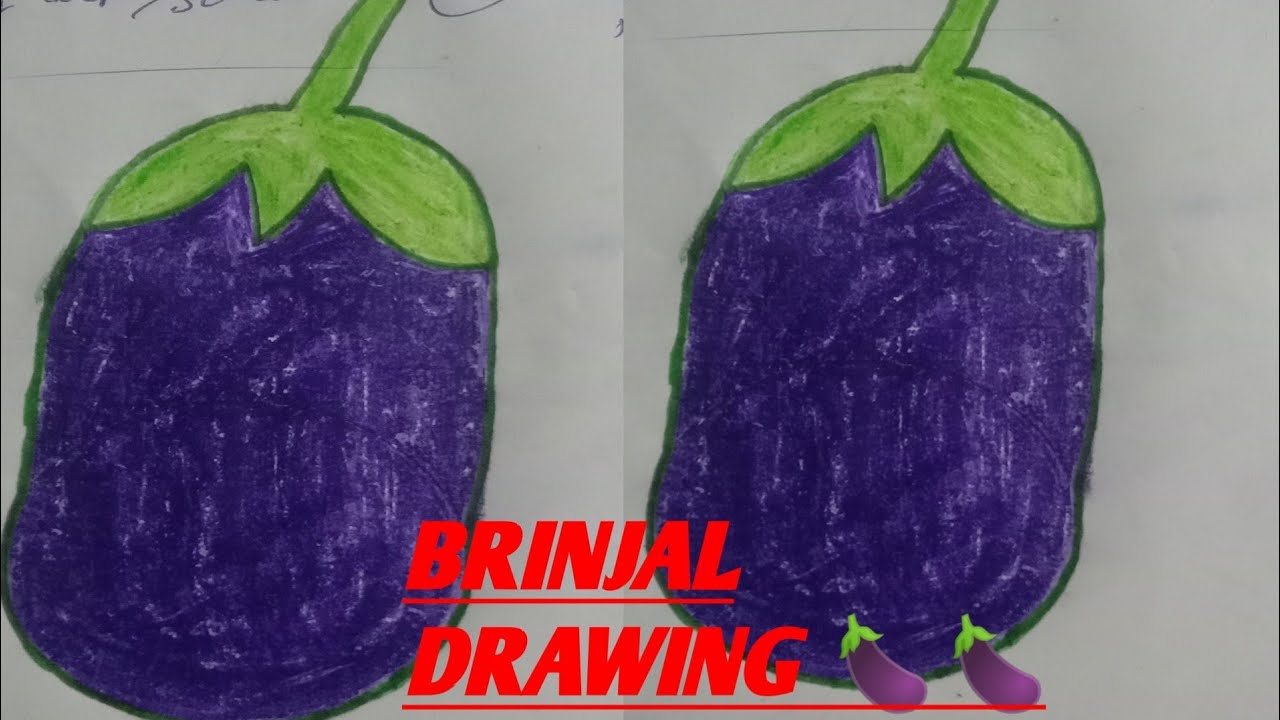 How to draw Brinjal/brinjal drawing and colouring easy/brinjal drawing ...