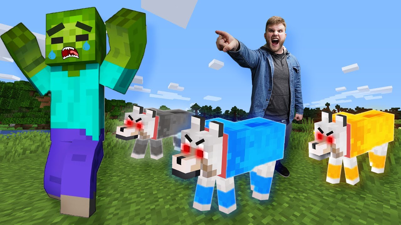 Using An Army Of ARMORED WOLVES To Defeat MY Enemies In Minecraft ...