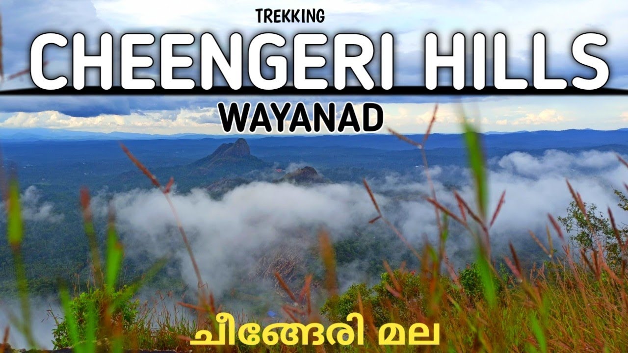 Cheengeri Hills Wayanad | Cheengeri Mala | Trekking at Wayanad ...