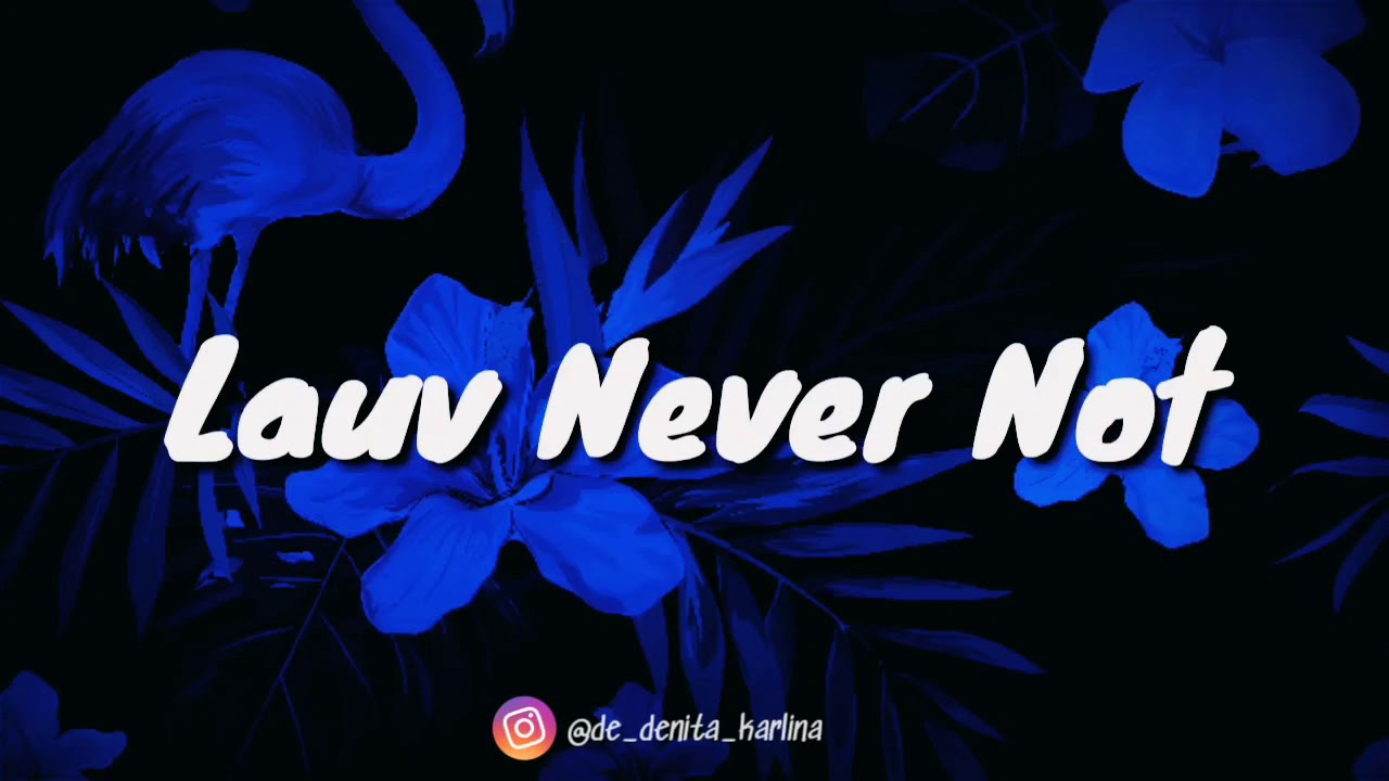 lirik lagu terjemahan °lauv - never not || sub indo° - YouTube